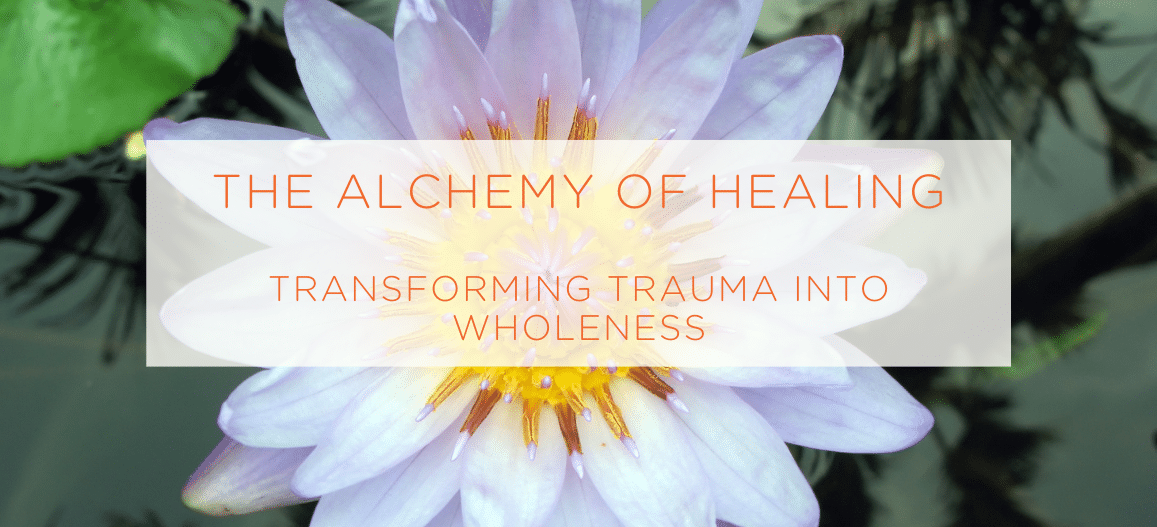 The Alchemy of Healing January 2027 - Sivananda Ashram Yoga Retreat Bahamas